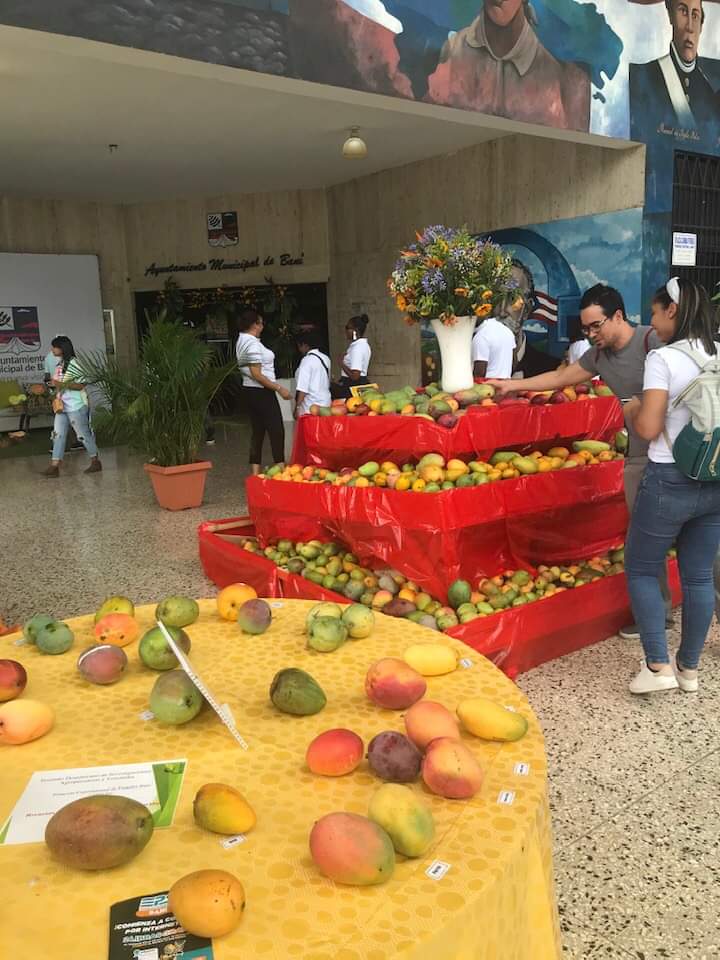 Feria del Mango Baní 2022 continúa con éxitos